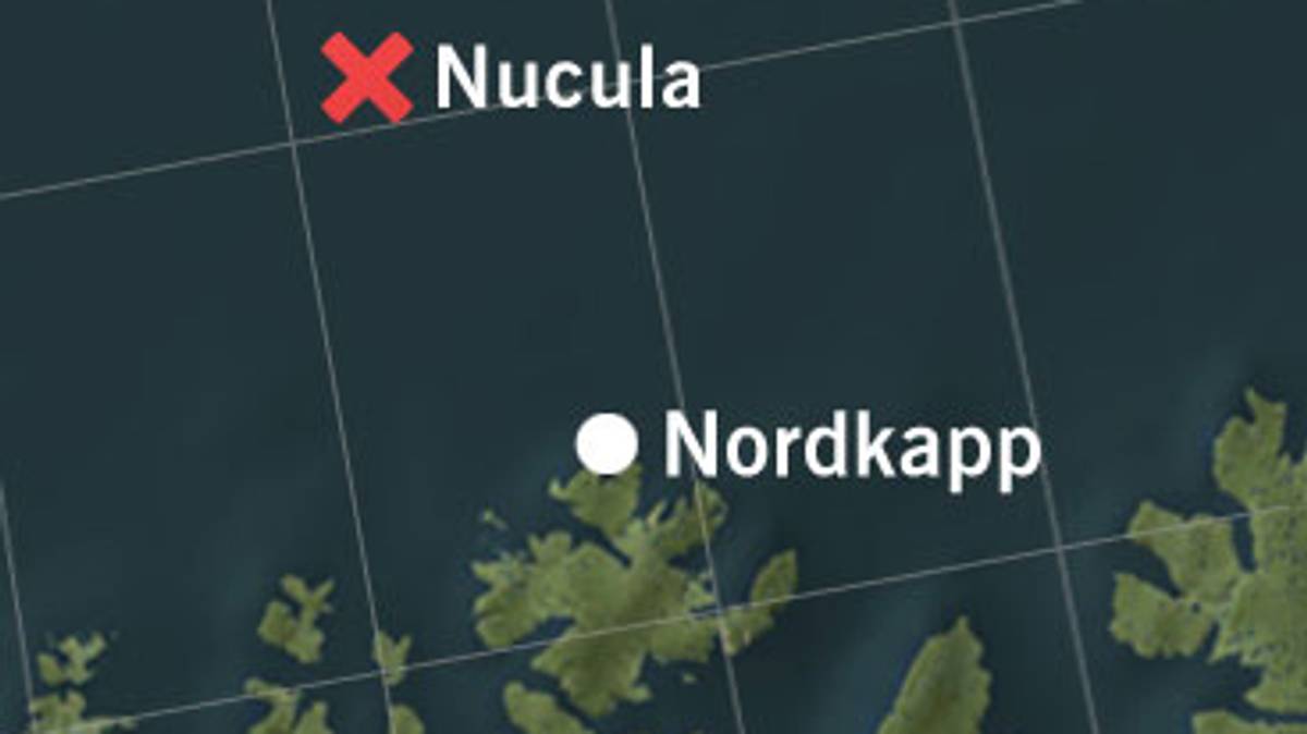 Olje- og gassfunn i Barentshavet – Økonomi