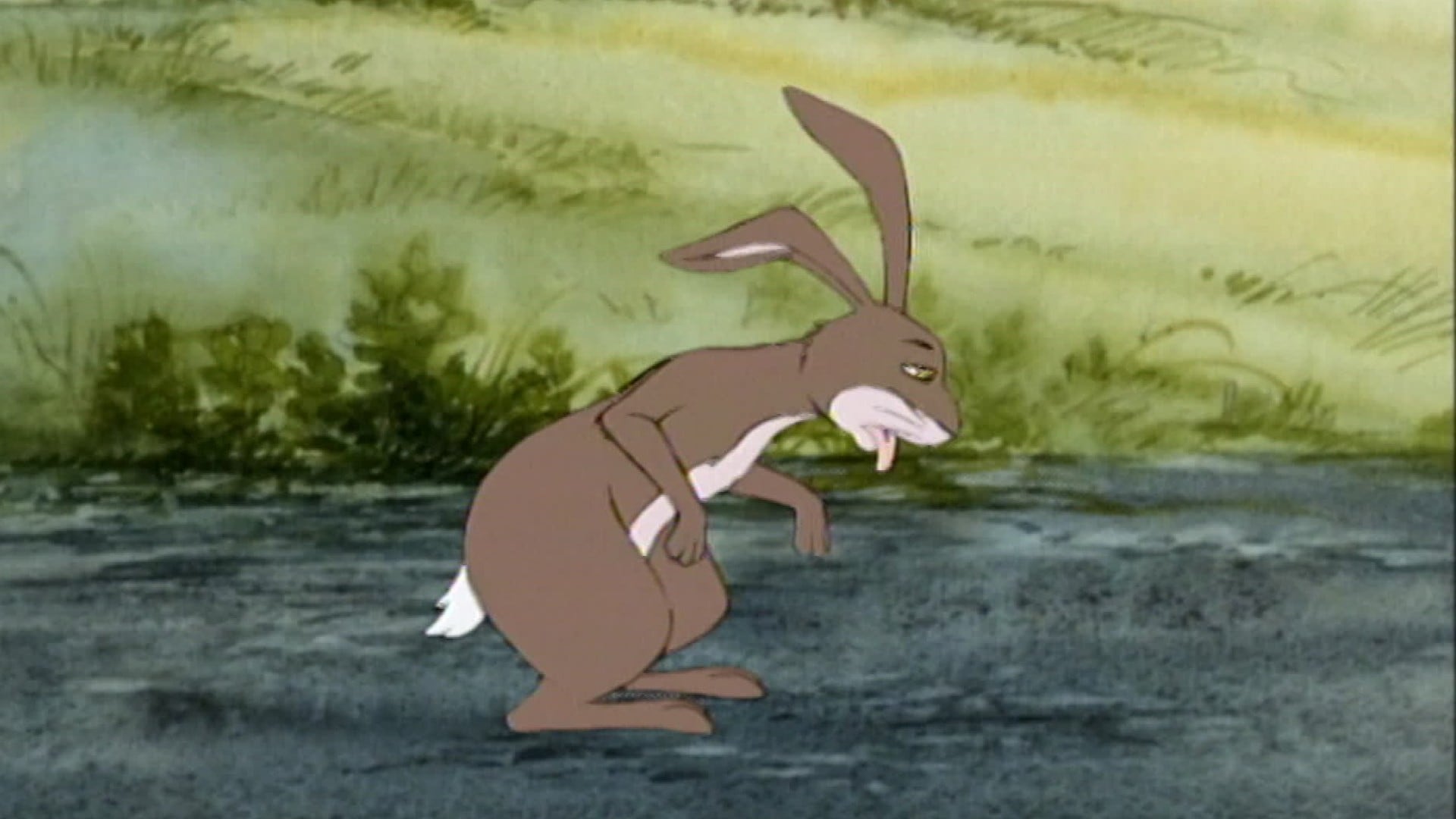 Dyra i Hjorteparken - NRK TV