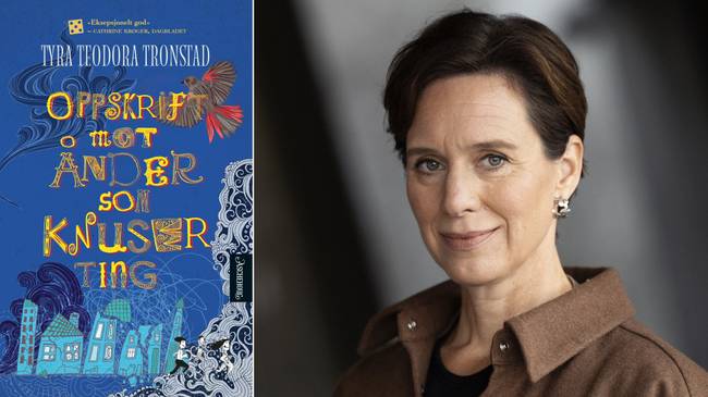 Anmeldelse: «Oppskrift mot ånder som knuser ting» av Tyra Teodora ...