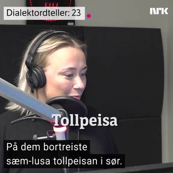 Vi kårer Finnmarks beste dialektord – NRK Troms og Finnmark