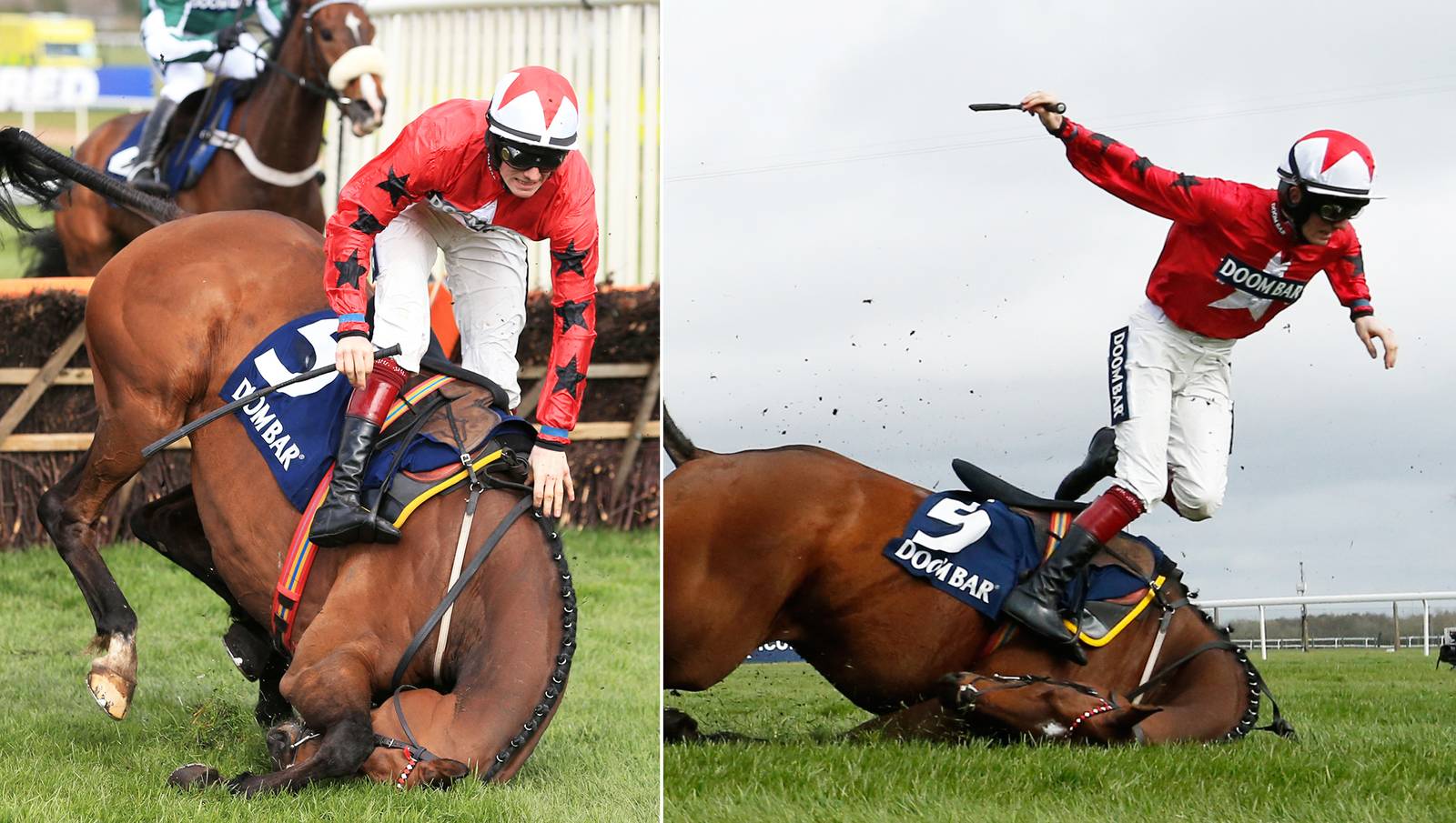 46 hester døde siden år 2000: – Det er grotesk – NRK Sport ...