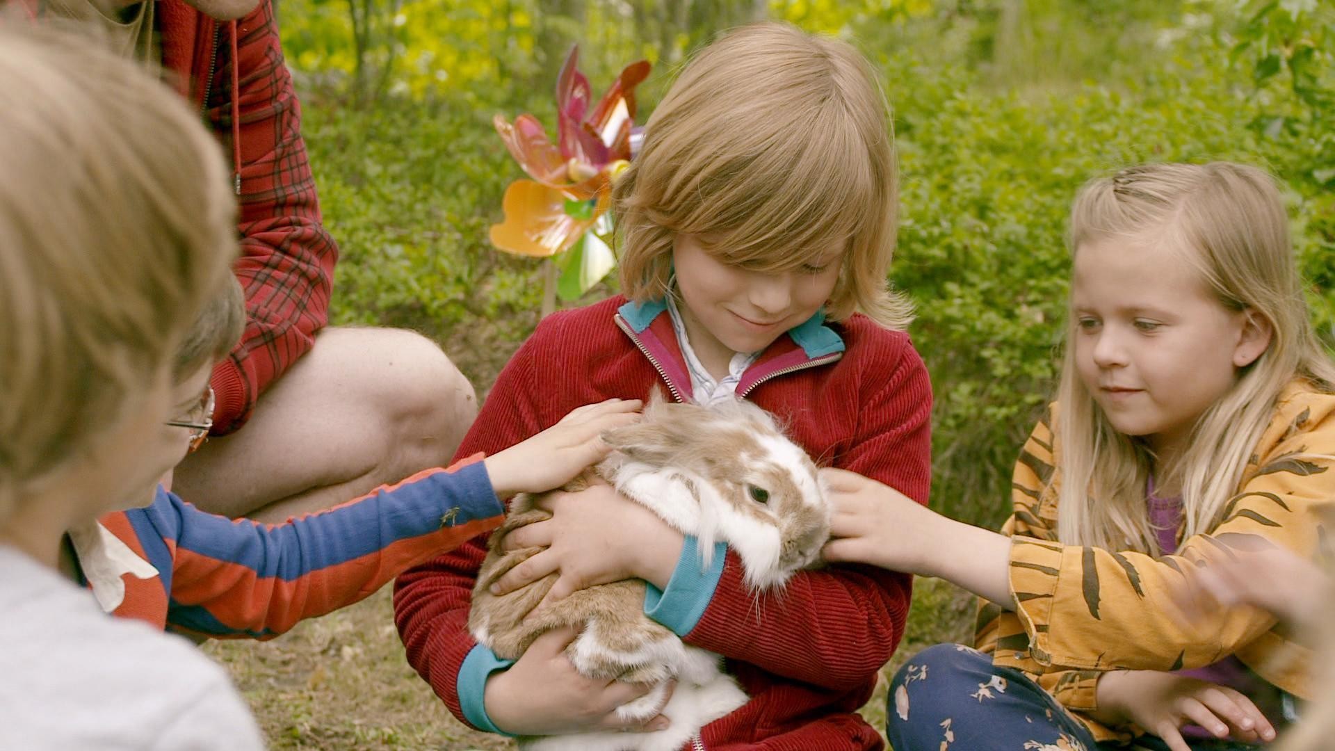 Livet leker - NRK TV