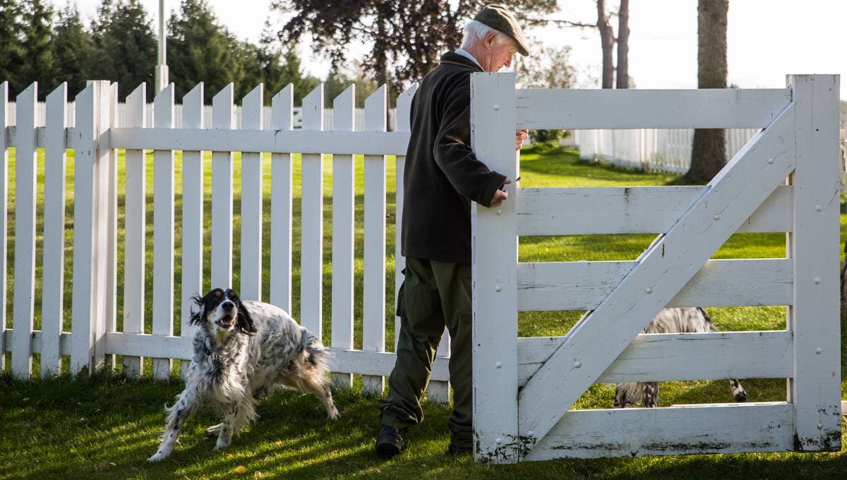 Historia bak Astrup Fearnley Museet – NRK Kultur og underholdning