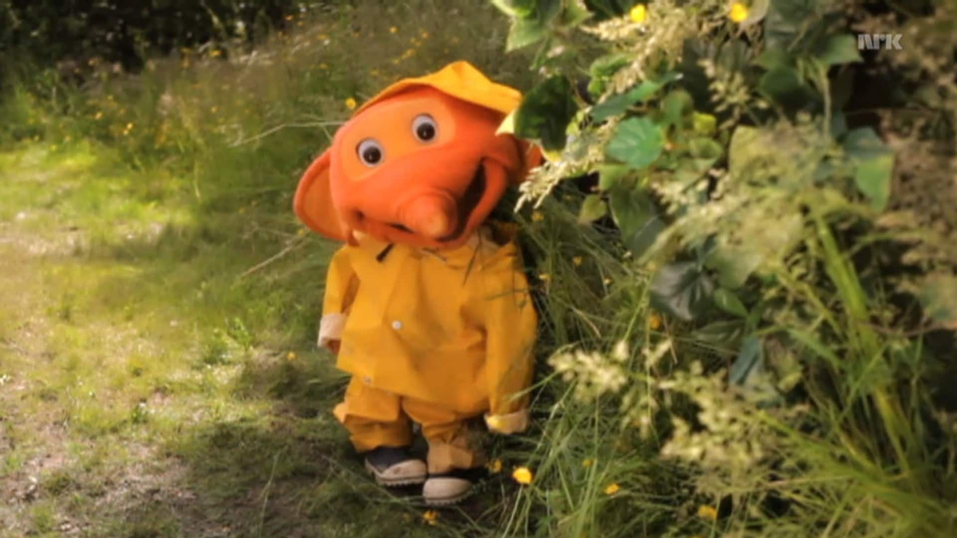 Fantorangen - NRK TV