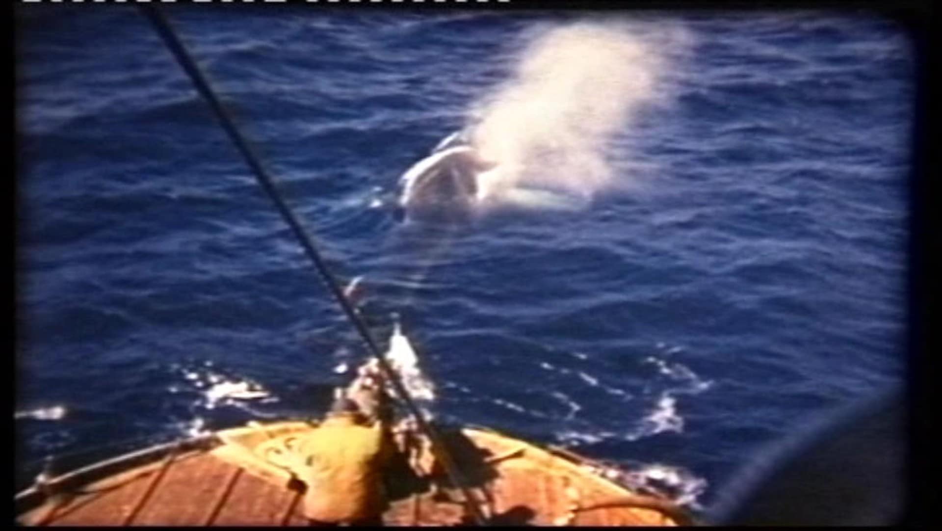 Roy Isnes film fra hvalfangst – NRK