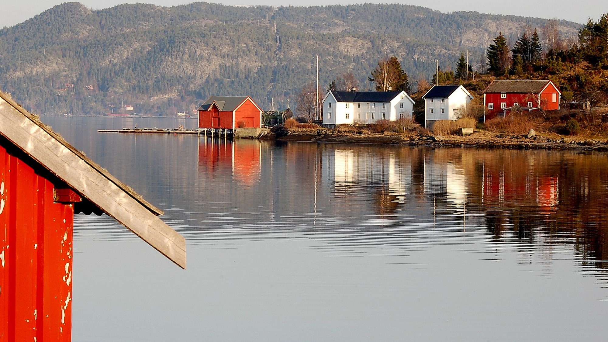 Frosta – NRK Trøndelag – Lokale nyheter, TV og radio