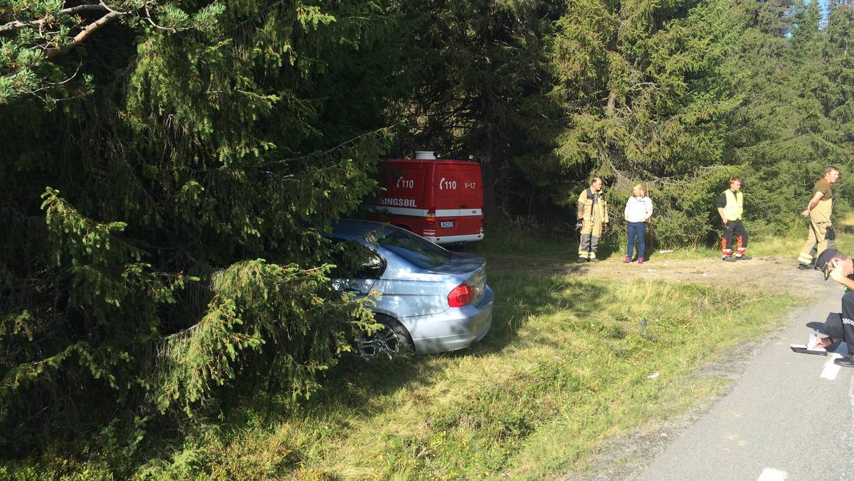 Riksvei 51 åpen – NRK Innlandet – Lokale nyheter, TV og radio