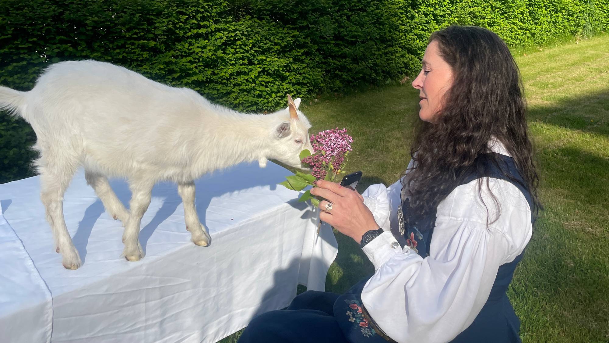 17. mai-feiring i Møre og Romsdal – send oss dine bilde frå ...