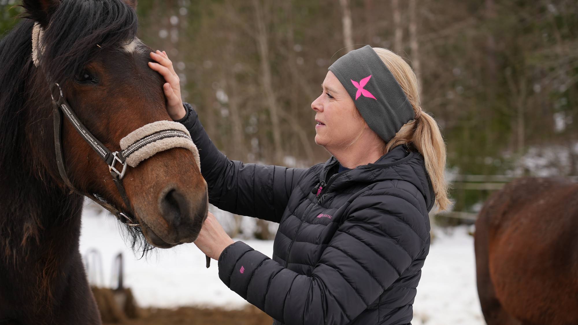 Stine Hogseth fikk bjørn på nært hold i Heradsbygd i Elverum – NRK ...