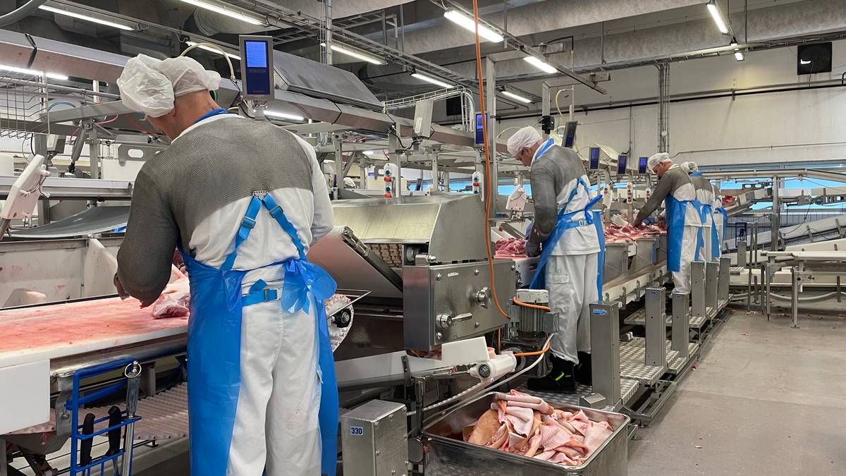 Nortura trekker seg fra avtale med Ytterøykylling – NRK Trøndelag – Lokale nyheter, TV og radio