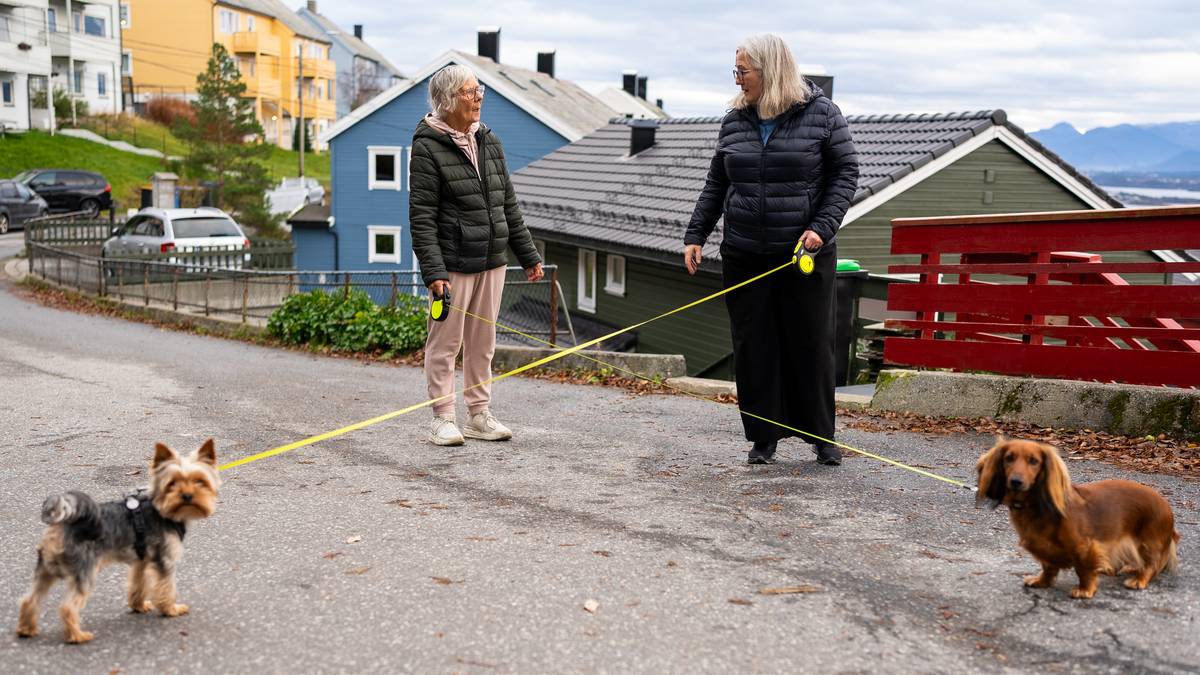 Inger-Mari Eidsvik i Ålesund krev at staten blir dømd i Borgarting ...