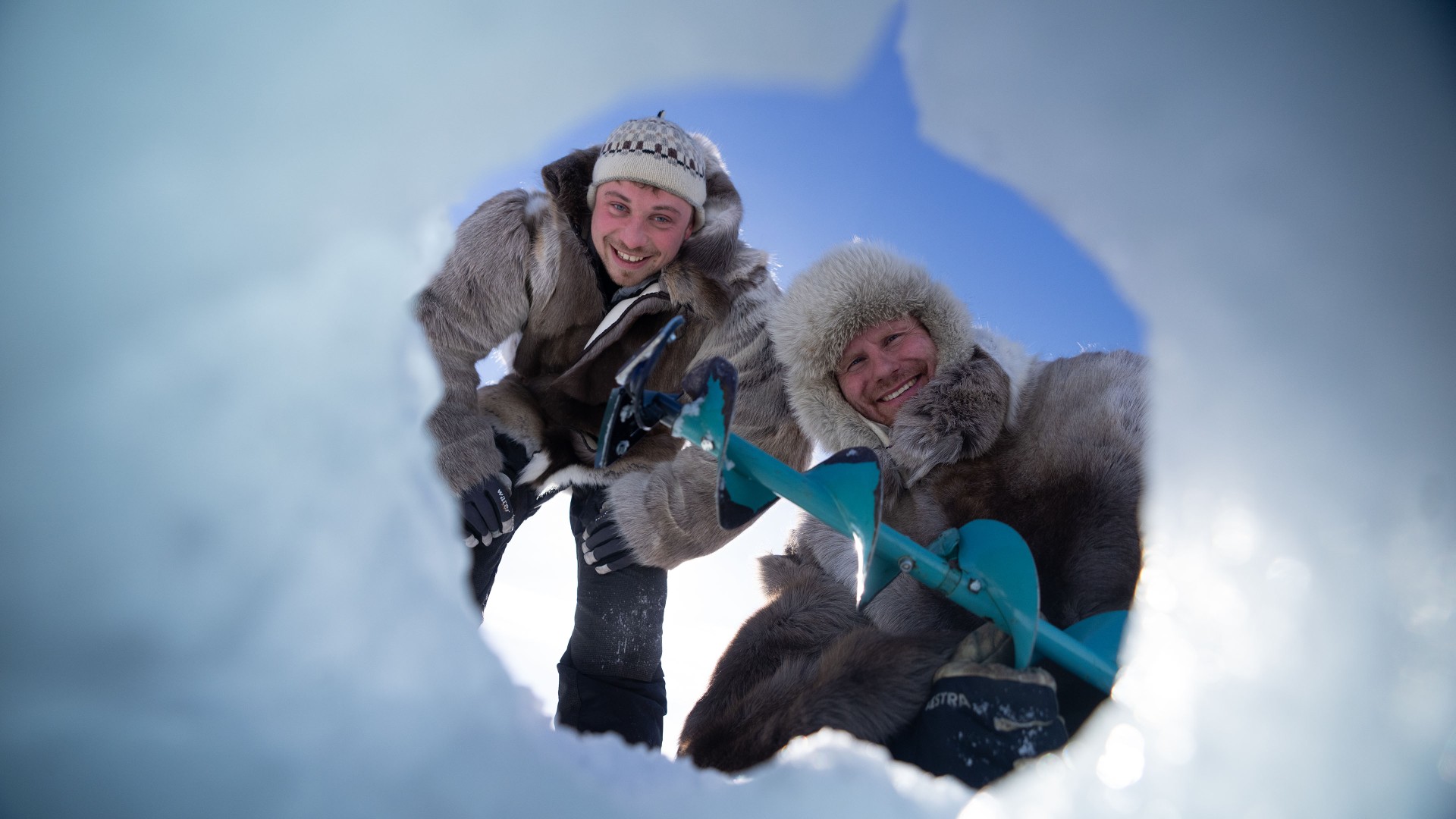 Isak og koia – en røverhistorie - NRK TV