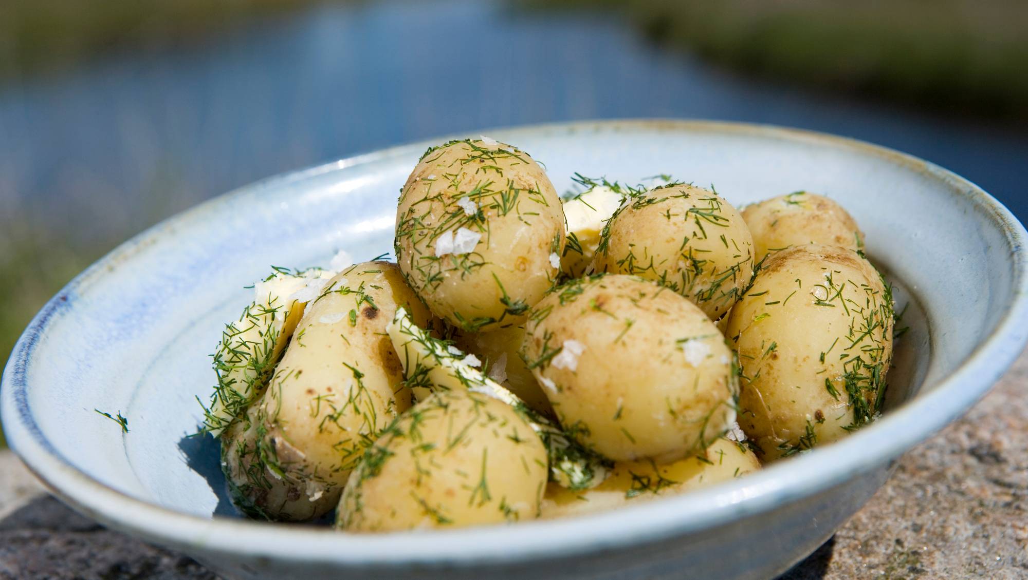 Nye poteter med dill, smør og salt – NRK Mat – Oppskrifter og inspirasjon
