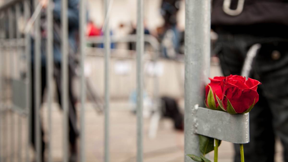 Roser og våpen foran tinghuset – 22. juli 2011 – Terroren som rammet Norge