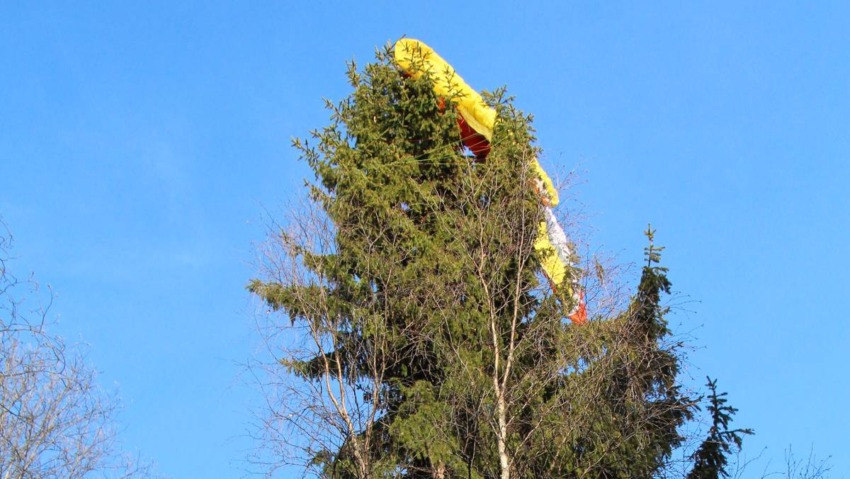 Christine landa paraglideren høgt oppe i tre – NRK Innlandet – Lokale ...