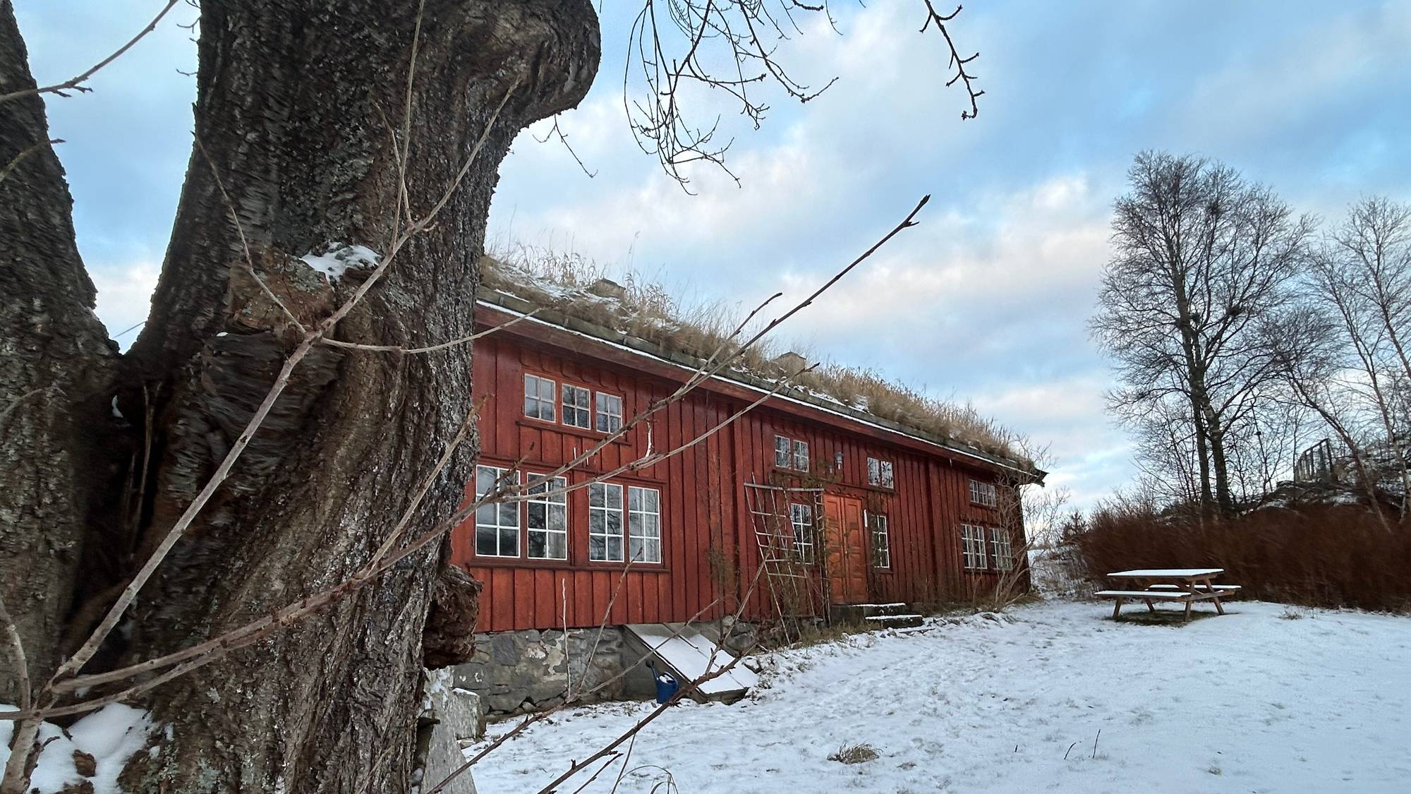 Edvard Hoem har gitt ut siste bok i slektskrøniken: «Husjomfru» – NRK ...