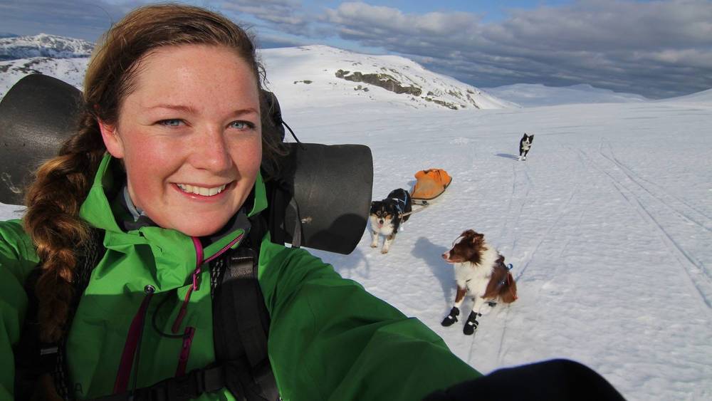 Dette må du tenke på når du tar med hund på tur – NRK Kultur og ...