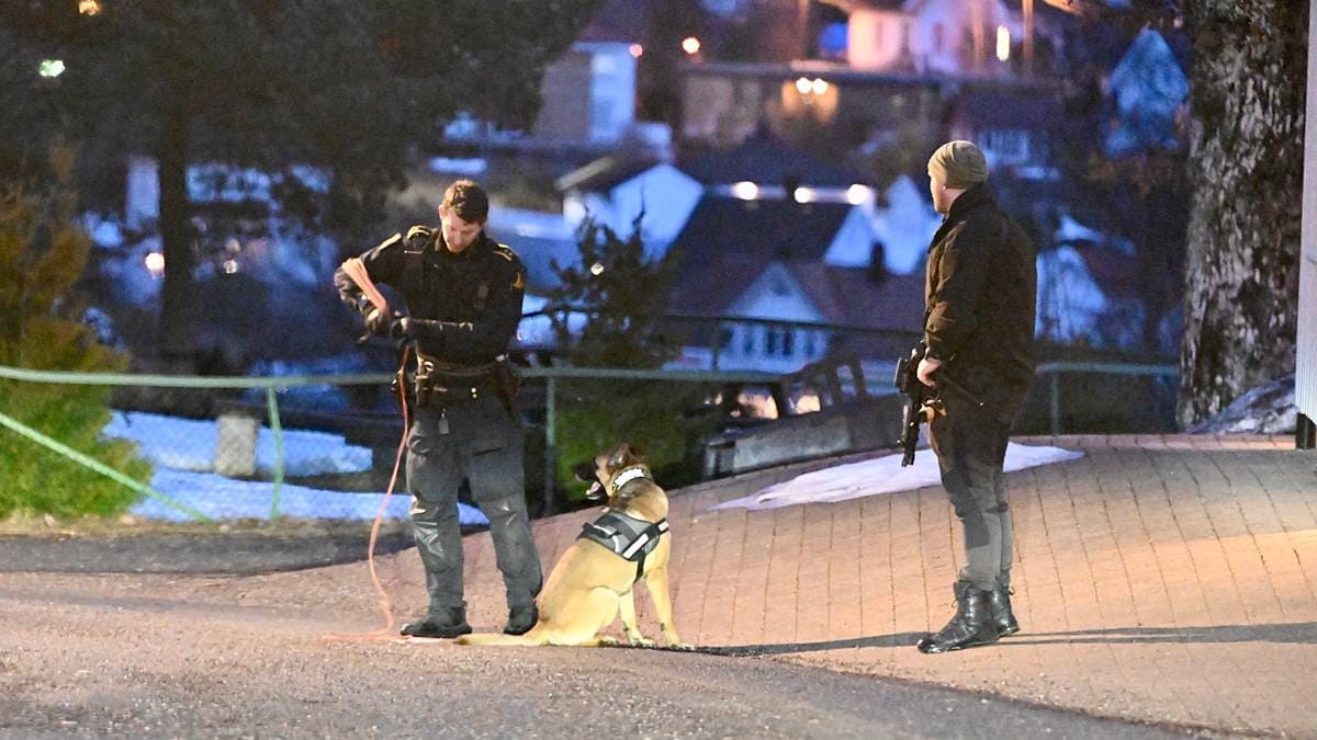 Krimteknikere I Arendal Etter Voldshendelse Nrk Sørlandet Lokale
