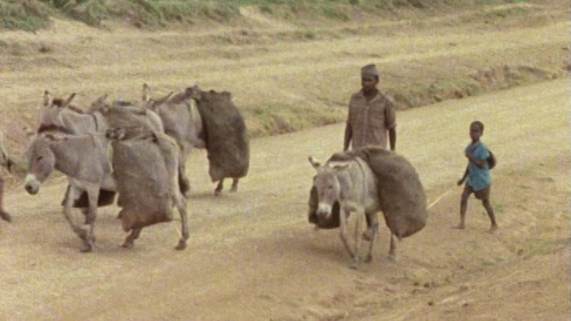 Øst-Afrika - NRK TV