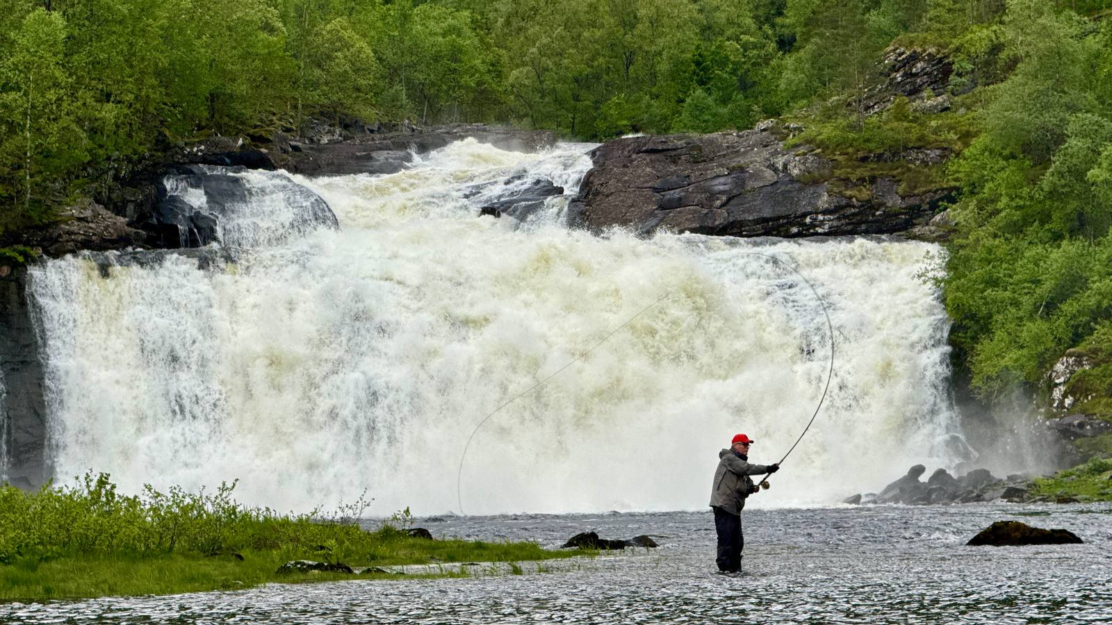 Varsellampene blinker ordentlig for laksefisket – NRK Vestfold og Telemark – Lokale nyheter, TV ...