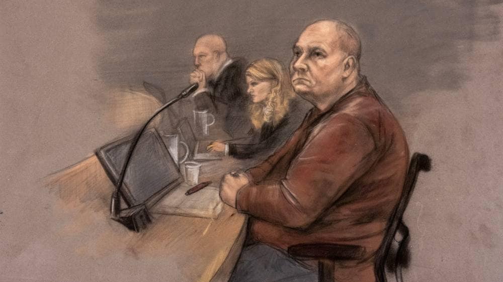 Baneheia-saken i Gulating lagmannsrett: Jan Helge Andersen forklarer ...