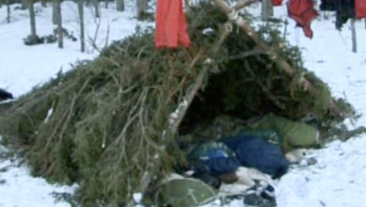 Bygg din egen gapahuk – Natur – NRK