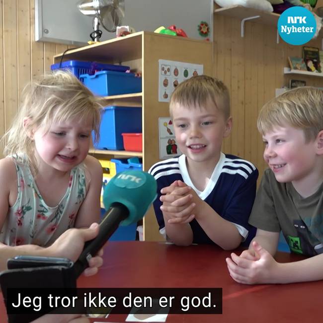 Pris og smak viktig årsak for at unge spiser lite sjømat – forsker tror sjøpølser kan hjelpe ...