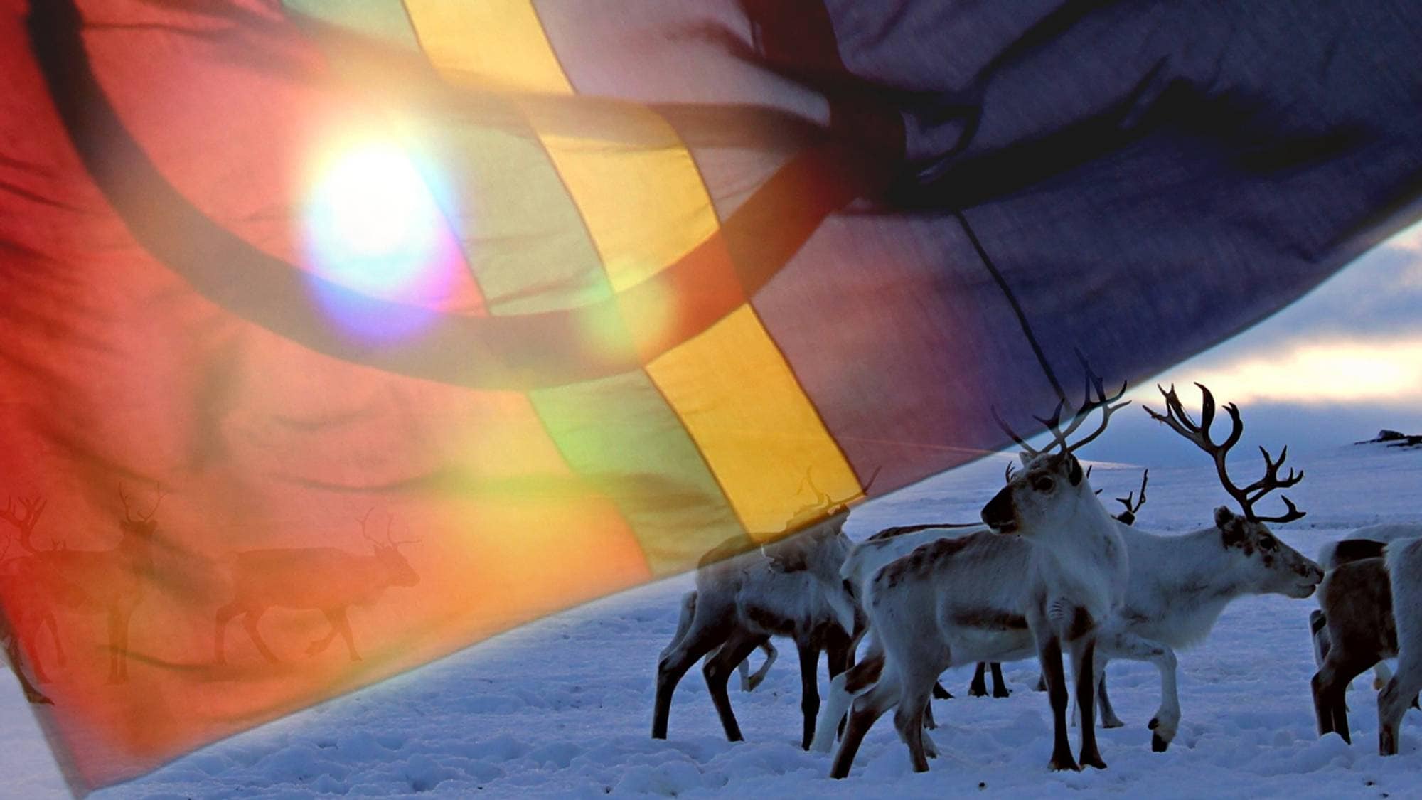 Derfor feirer vi samenes nasjonaldag – NRK Sápmi - samiske nyheter ...