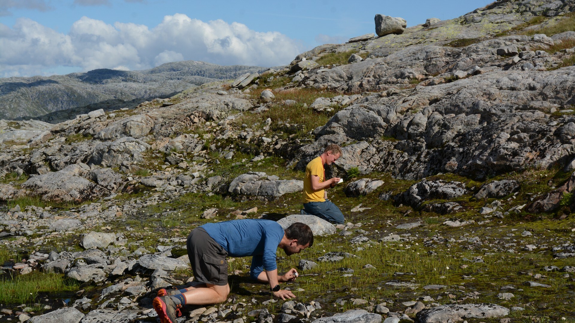 Se Vestlandsrevyen – NRK Vestland