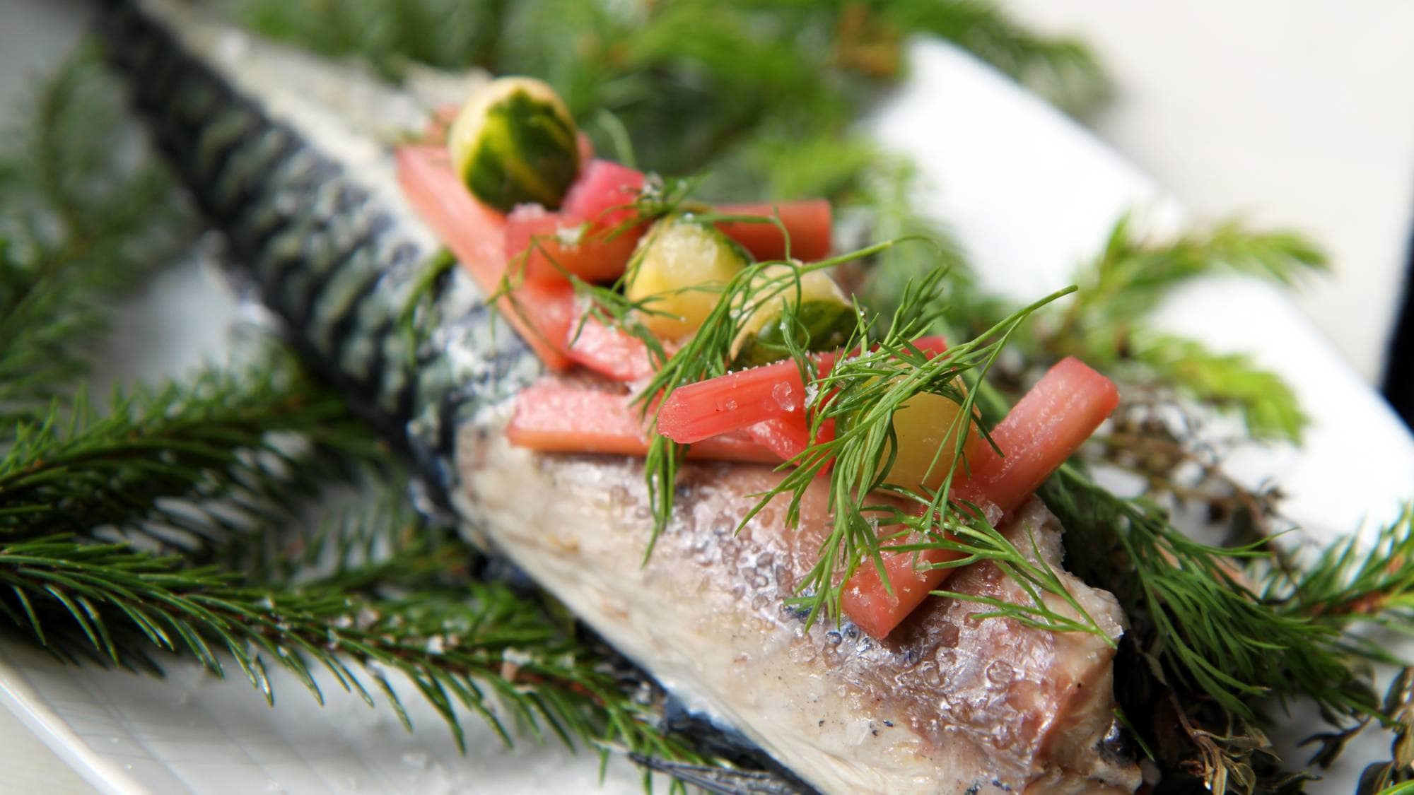 Grillrøykt makrell med syltet rabarbra – NRK Mat – Oppskrifter og ...