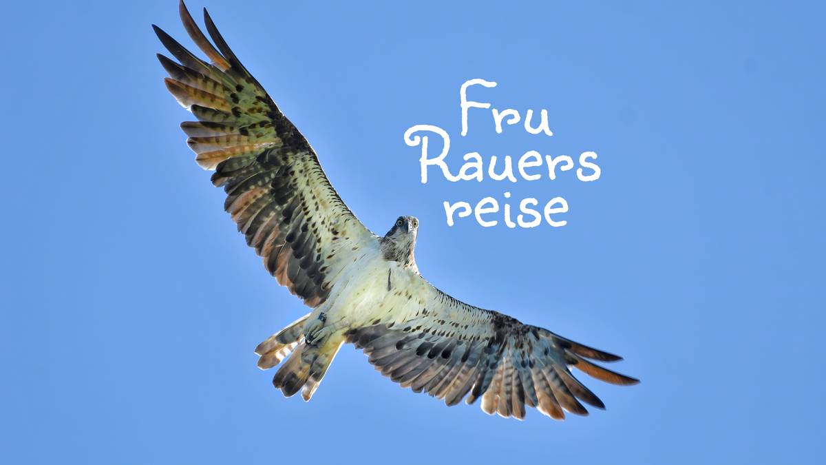 Fru Rauers reise – Dokumentar