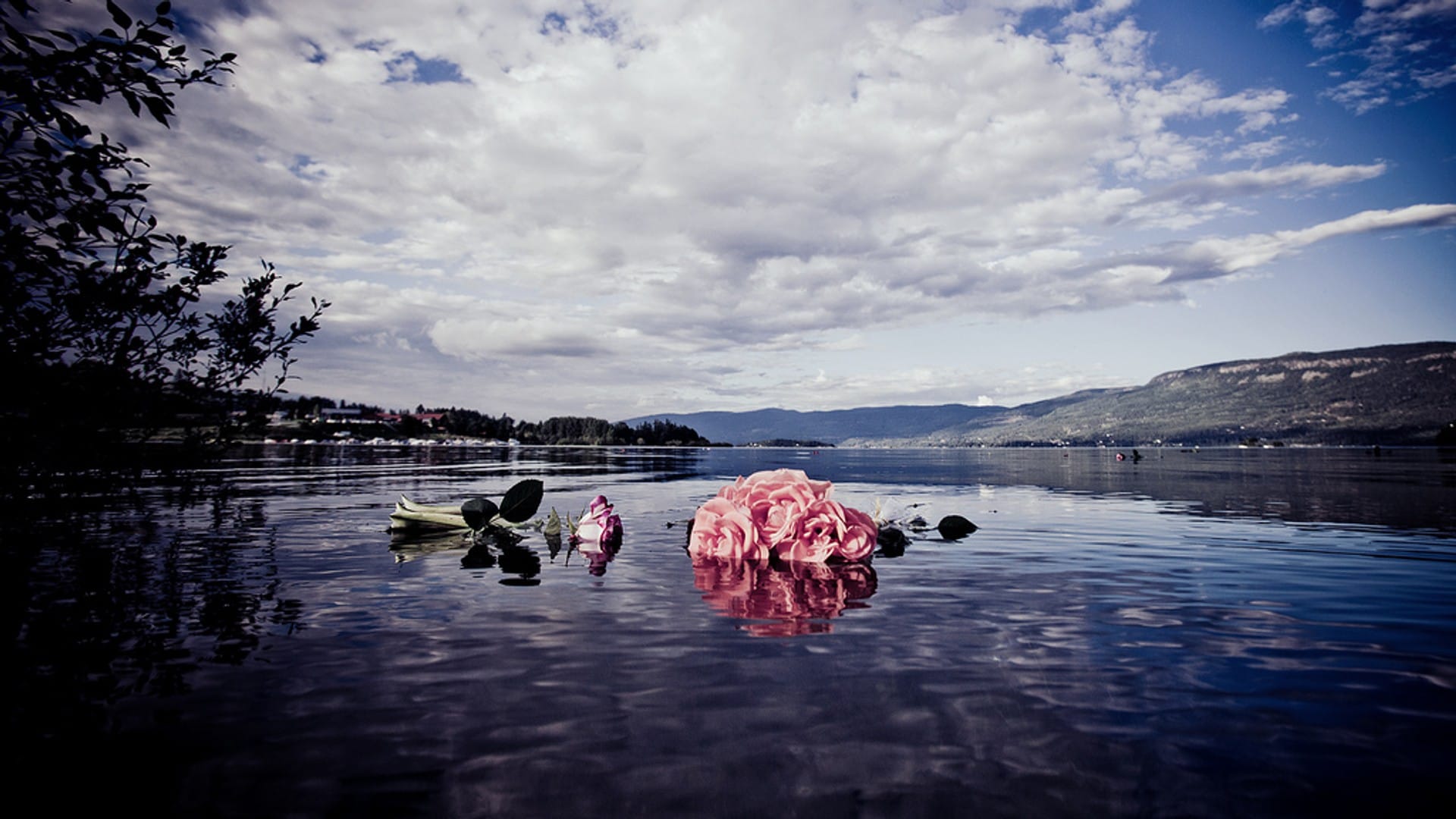 Generasjon Utøya - NRK TV