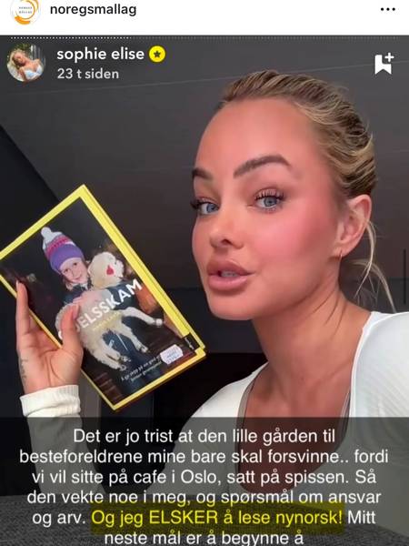 Slik påvirkes vi til å kjøpe: – Definerer trender på sosiale medier ...