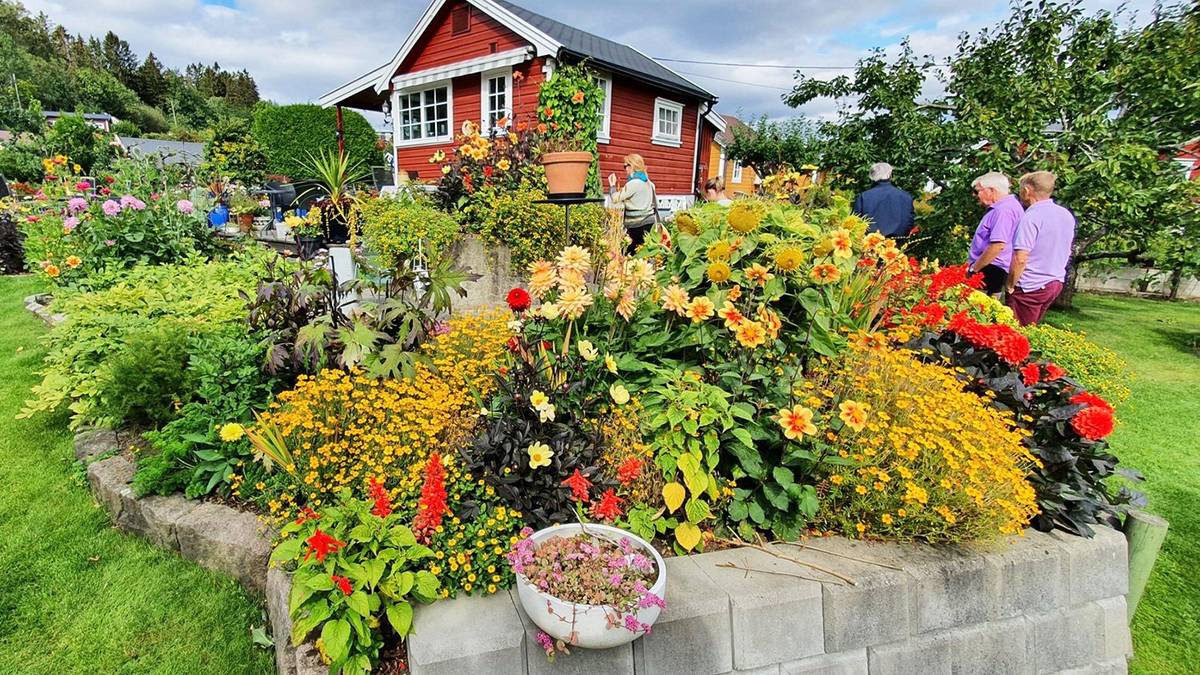 Eiendom Norge vil rive Oslos kolonihager – Stor-Oslo