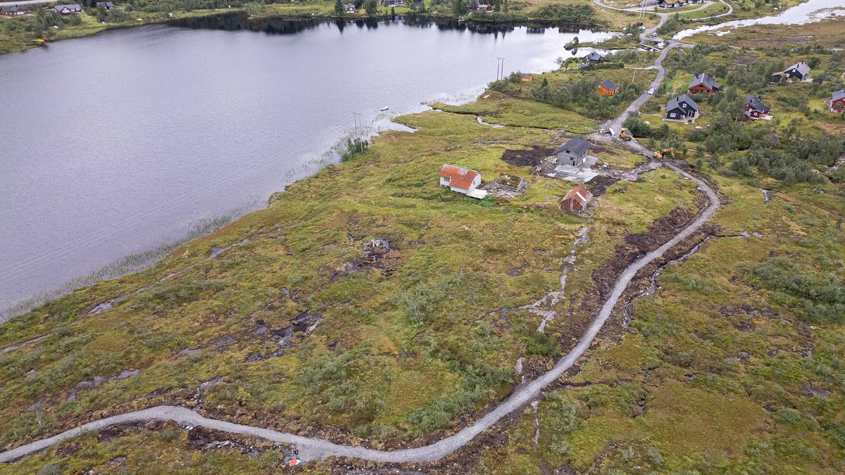 Bygger ni kilometer lang turveg på Kvamskogen – NRK Vestland