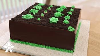 Lukasz' grønnsaks­hage­kake fra «Bake­mester­skapet» – NRK Mat – Oppskrifter og inspirasjon