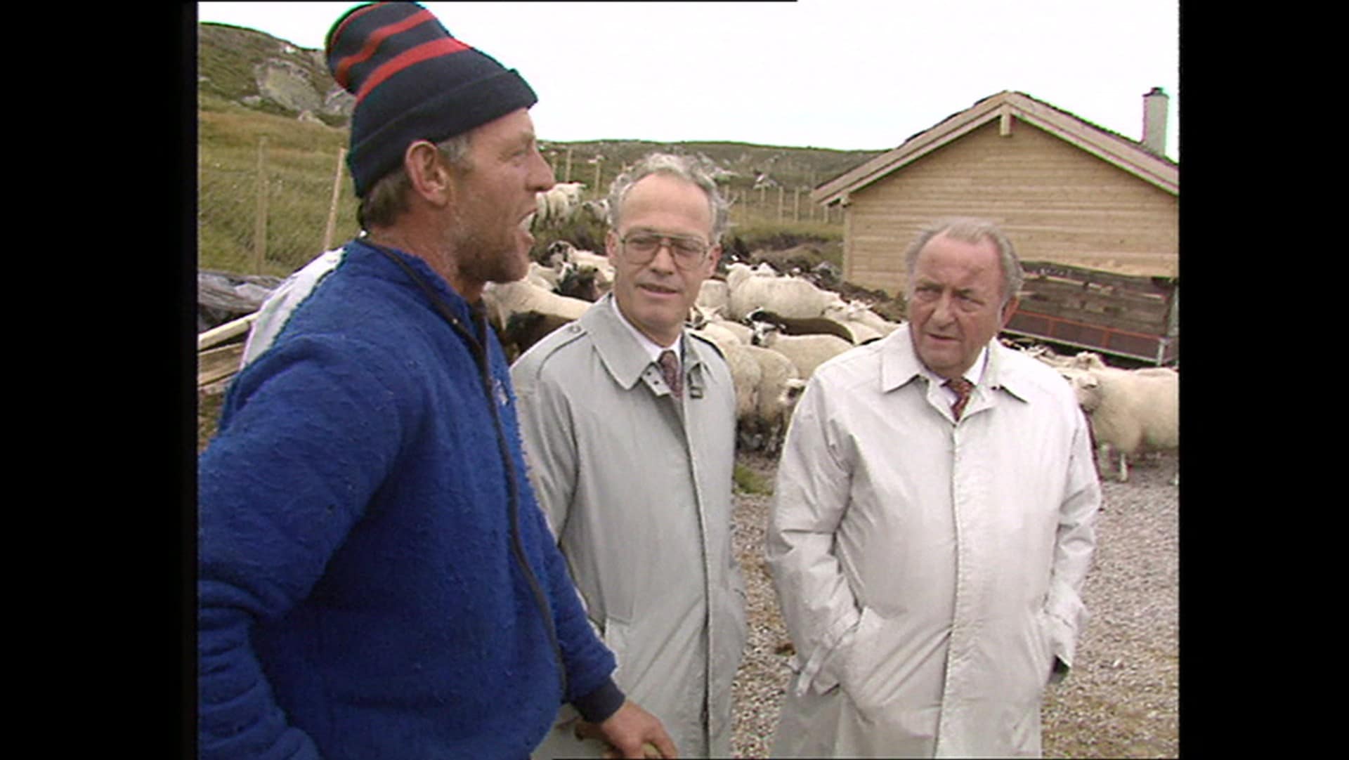 Retro: Sauesanking med Rettedal – NRK