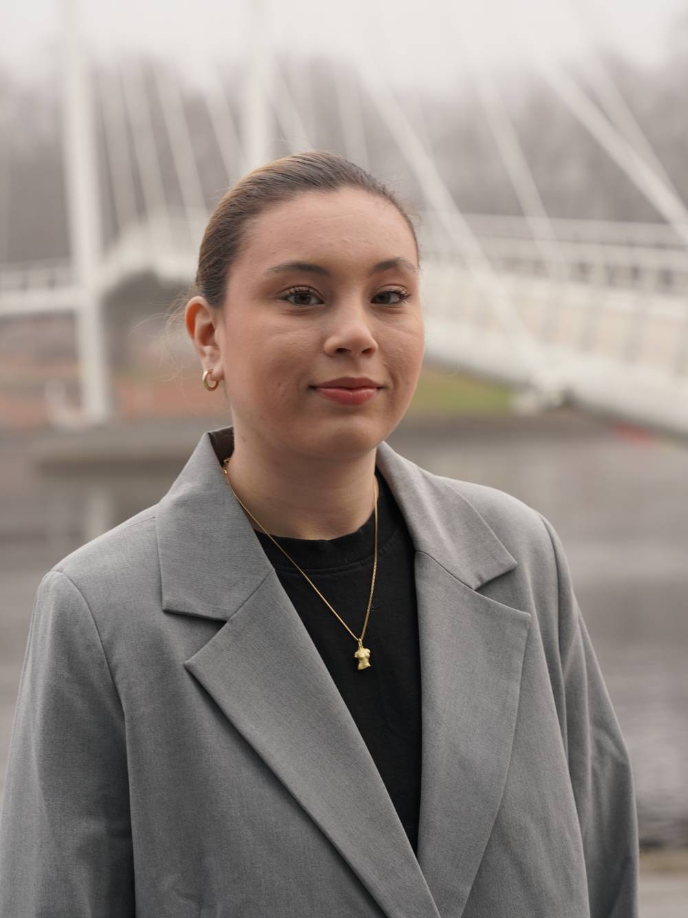 Unge fyller kommentarfelt på TikTok med «Stem Frp» og «Stem SV» – NRK ...