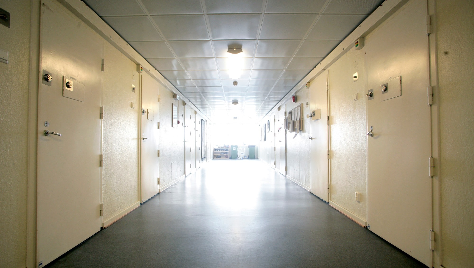 1000 fanger i norske fengsler er utviklingshemmet – NRK Norge ...