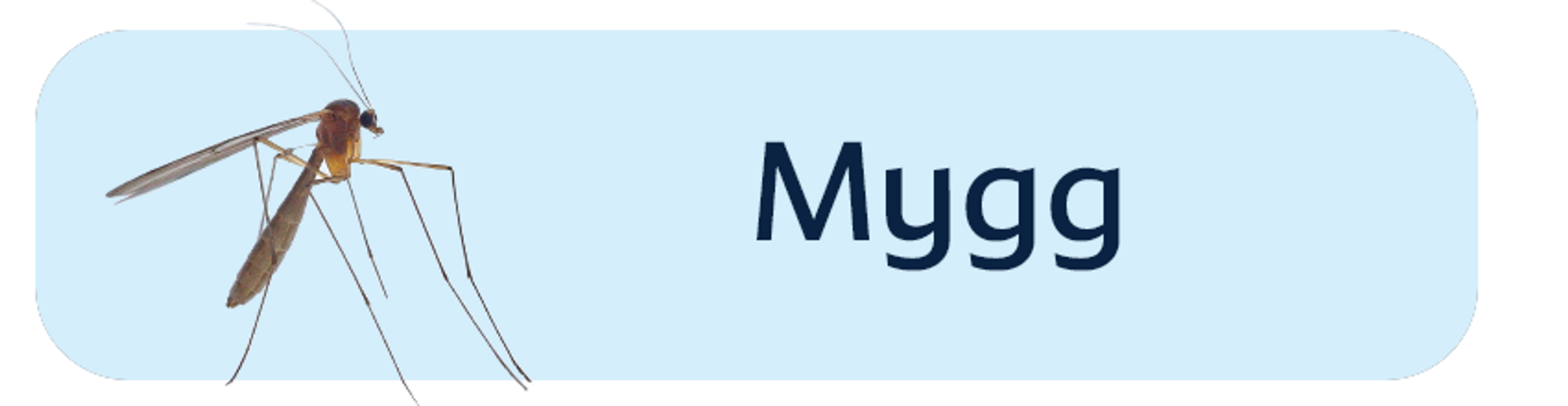 Derfor er mygg, svartflue, veps og klegg viktige – NRK Nordland