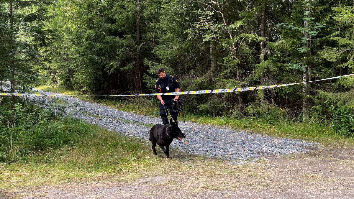 Hytteeier til NRK: Kjente ikke til Jonas Henriksen – Siste nytt – NRK