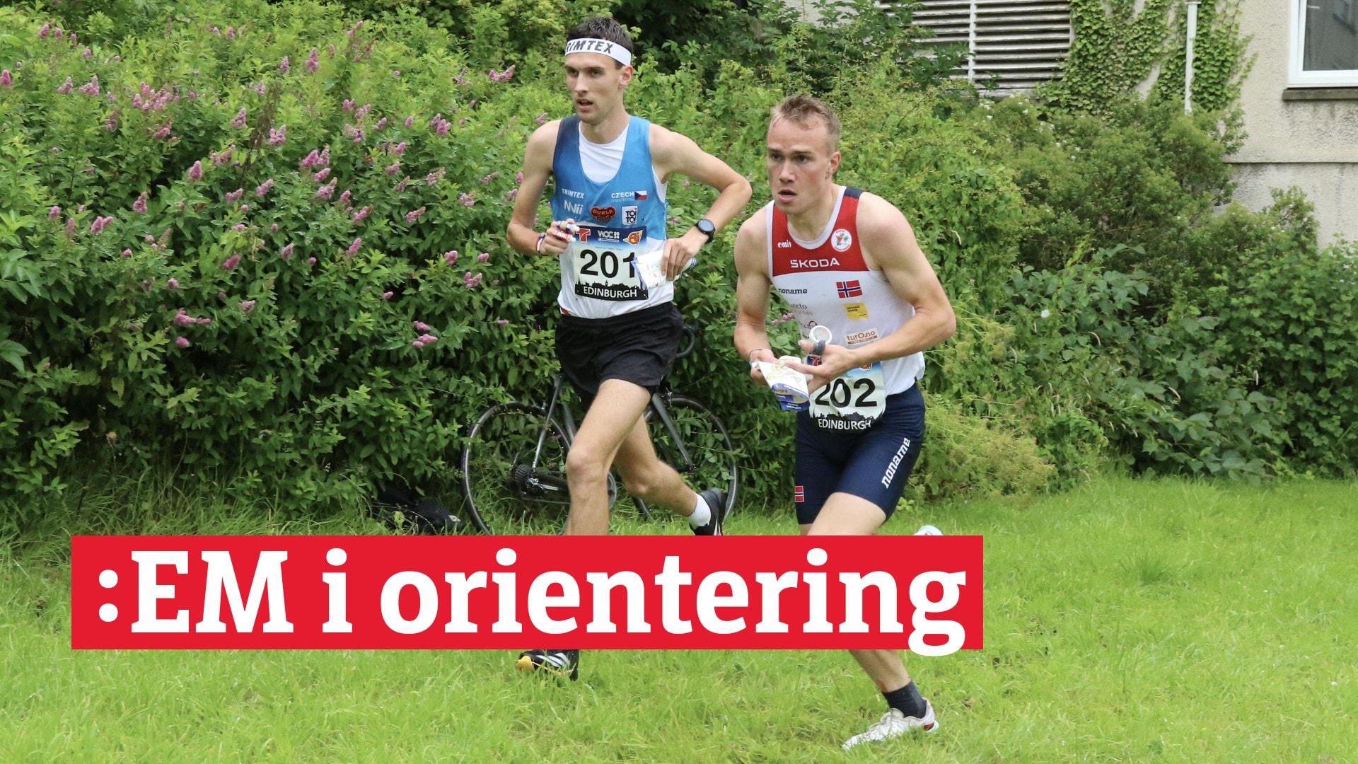 Direkte NRK1 - NRK TV