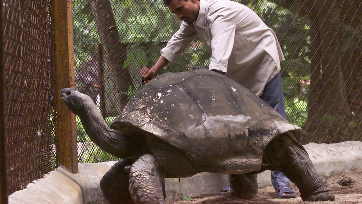 Verdens eldste dyr ble 507 år – NRK Viten – Nyheter innen vitenskap og ...