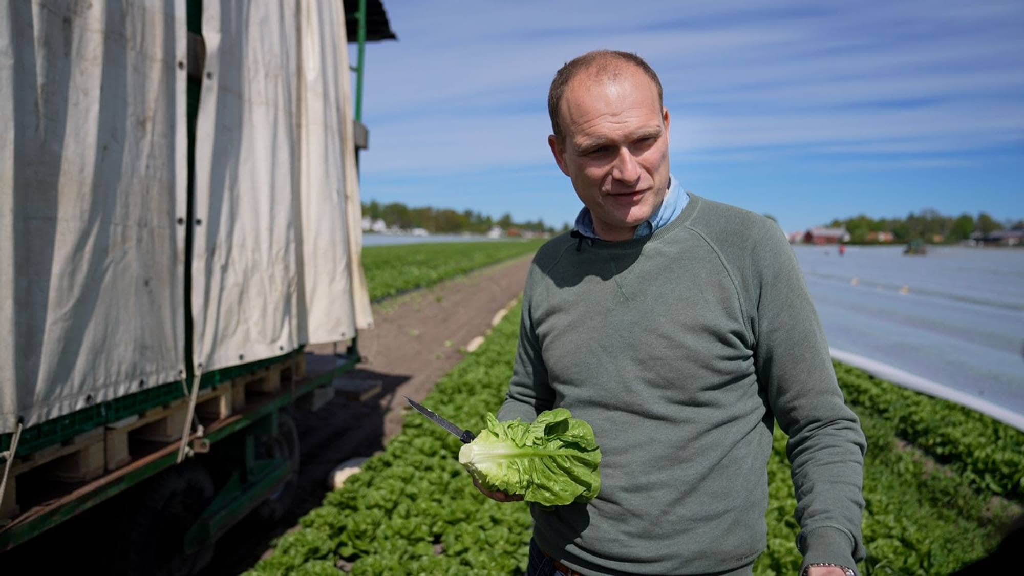 Nå kan det lønne seg å velge norske grønnsaker: - Prisutviklingen i ...