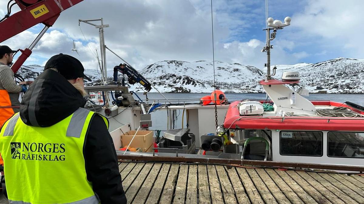 Leverte fangst for 219 millioner – NRK Troms og Finnmark