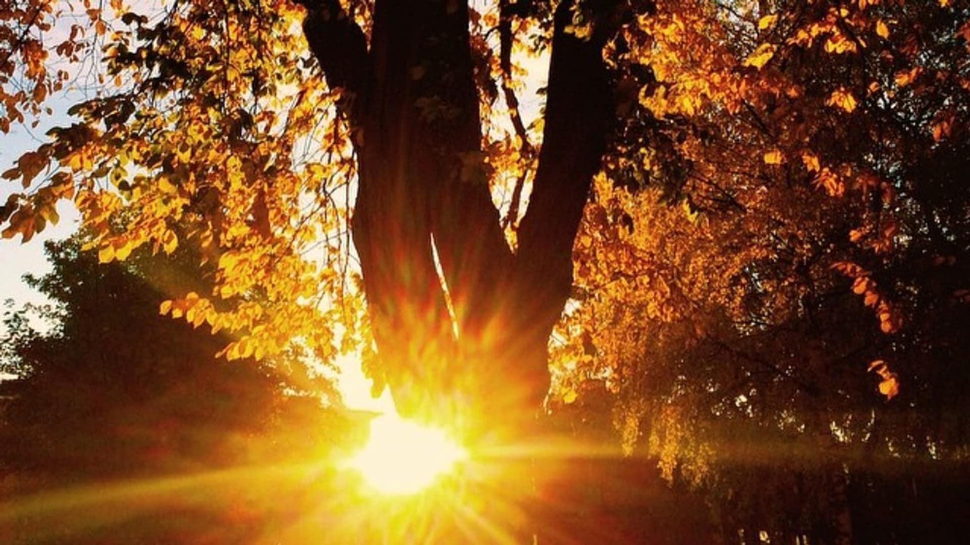 Tips om hausten – NRK