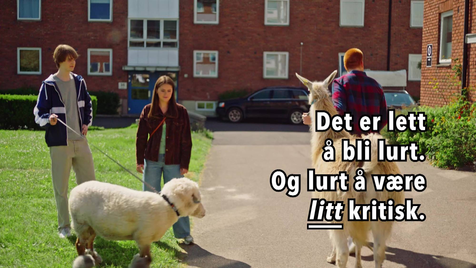 Norsk mediebransje lanserer kampanje for redaktørstyrte medium – NRK ...