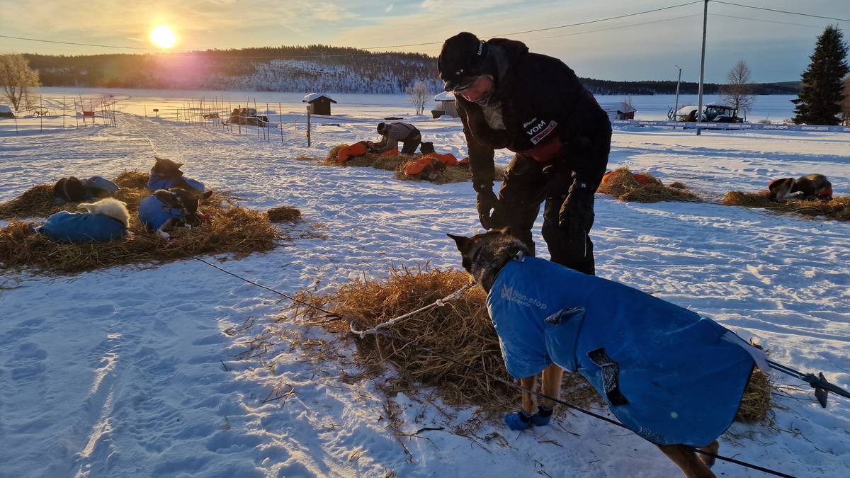 Trio i tet ute i sporet igjen – NRK Sport – Sportsnyheter, resultater ...
