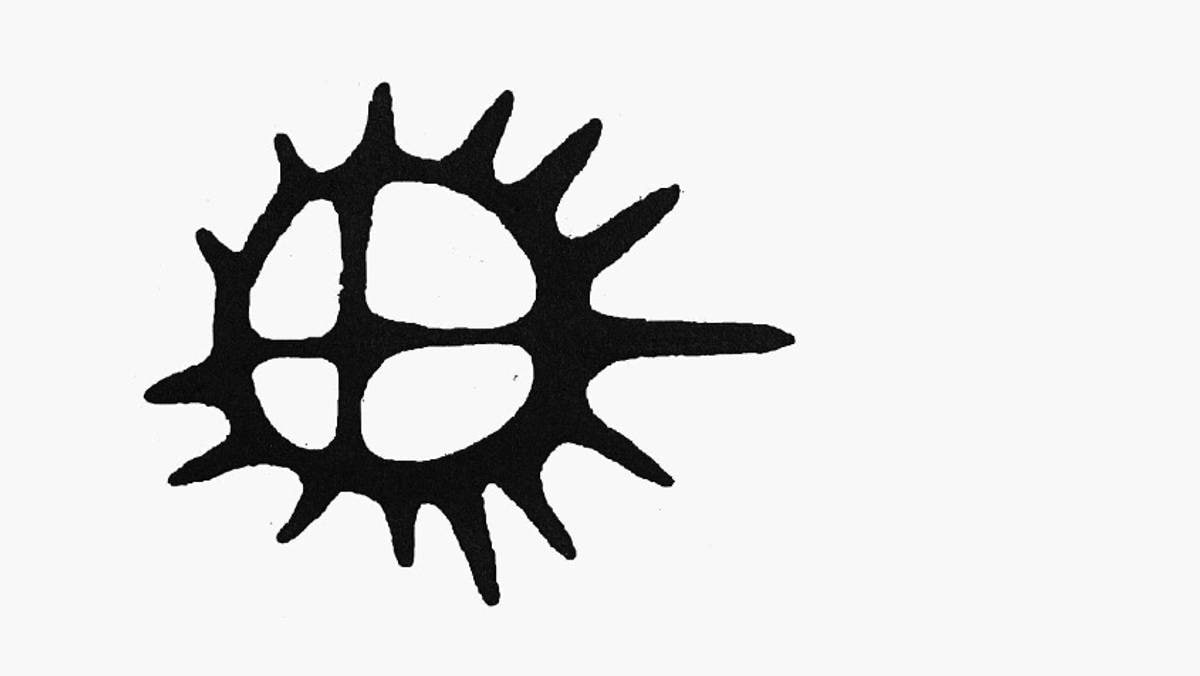 Nå er samisk solsymbol for alle – NRK Kultur og underholdning