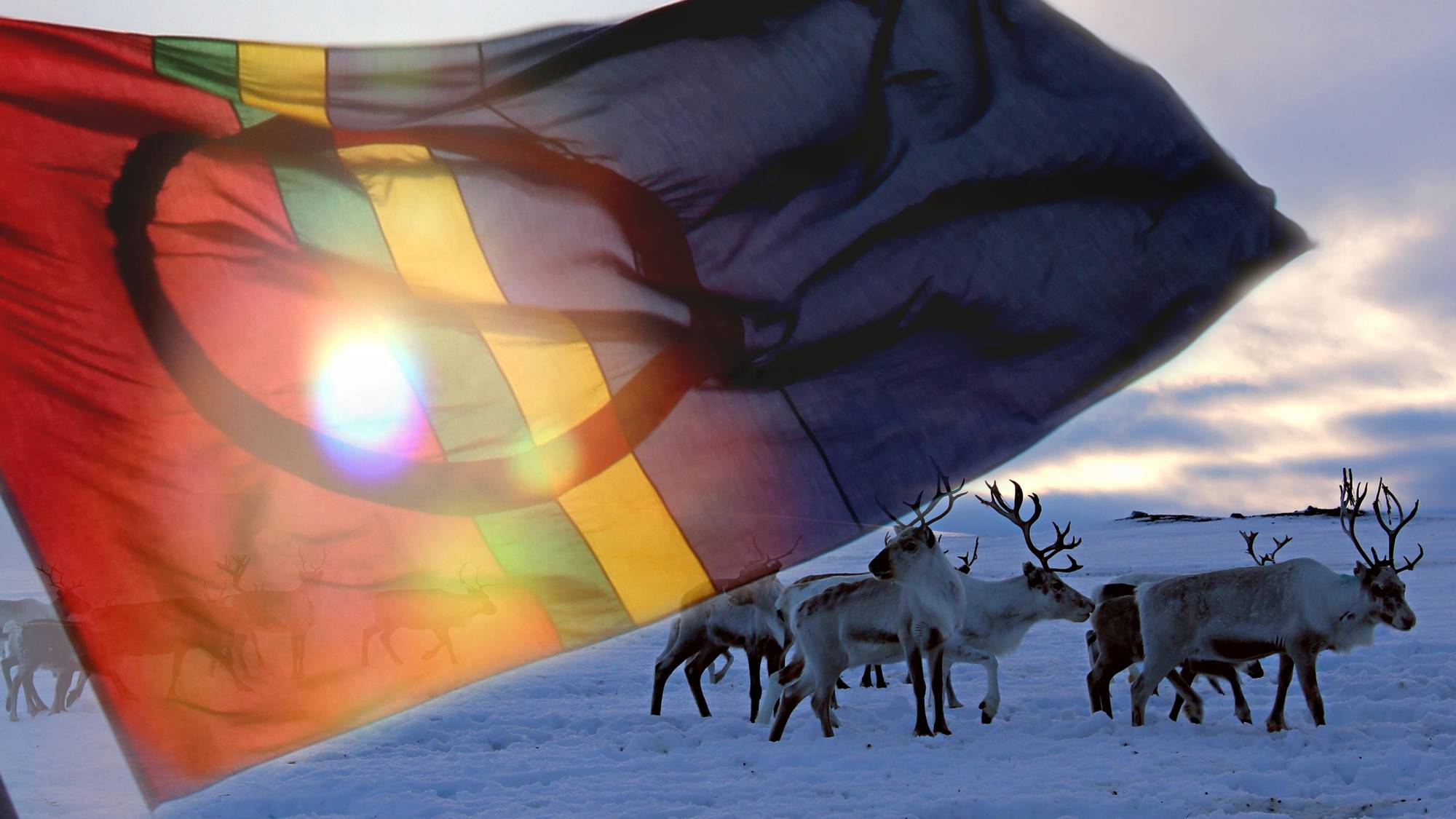 Slik logger du deg inn på NRK Sápmi – NRK Sápmi - samiske nyheter ...